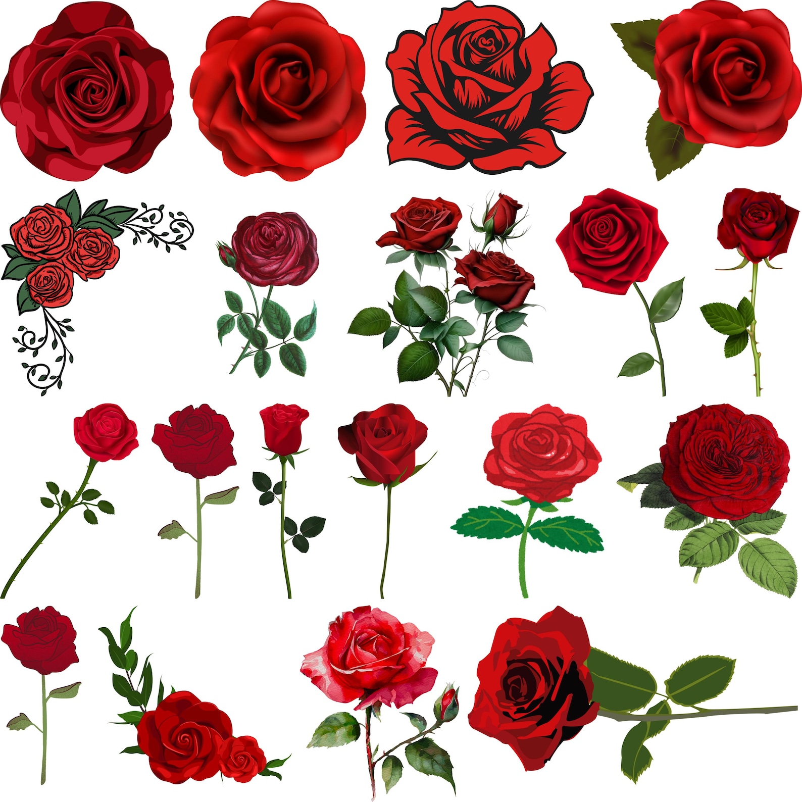 Rose SVG Bundle, Rose Vector, Rose Clipart, Rose Silhouette, Rose Svg ...