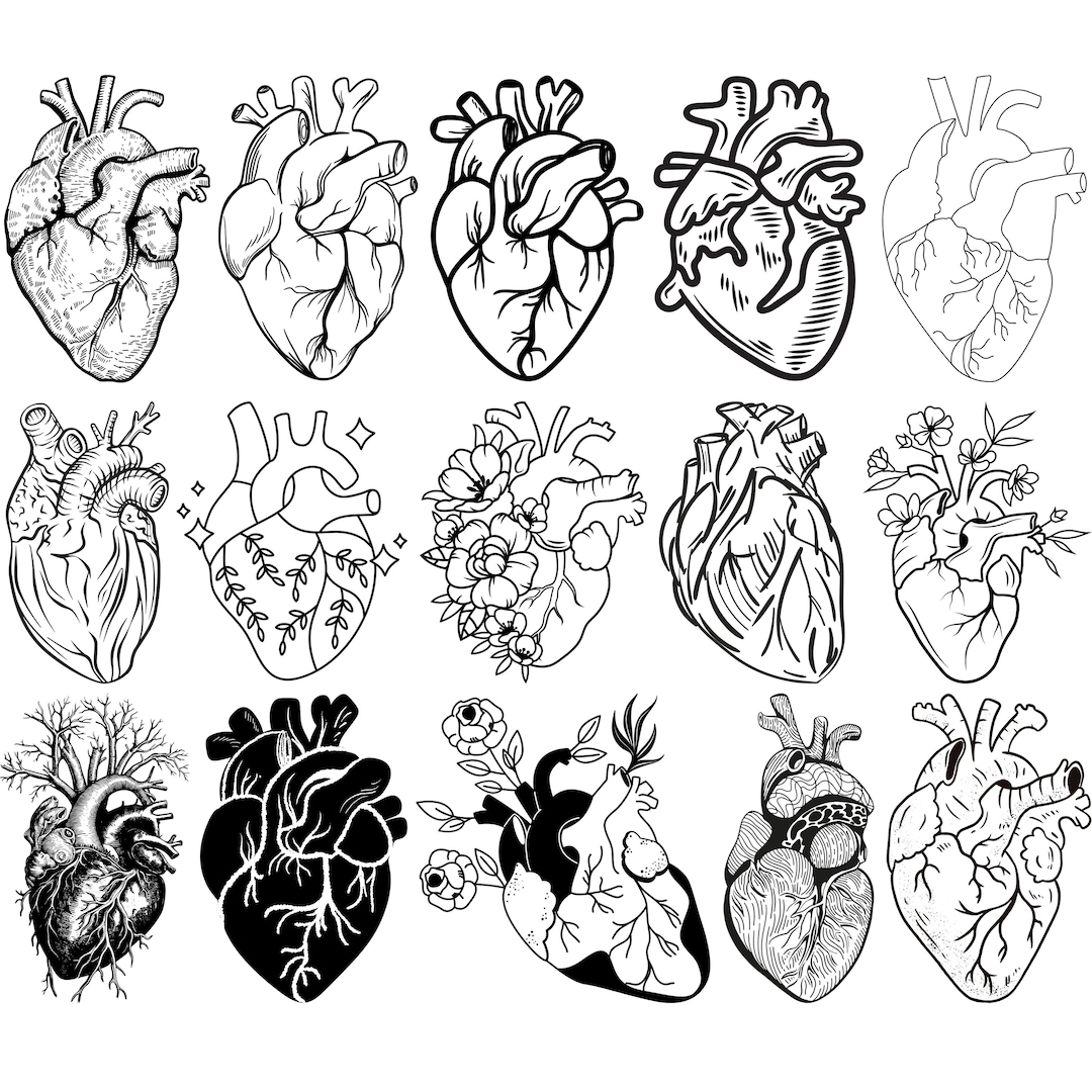 Anatomical Heart Svg Bundle, Nurse Life, Human Heart Svg, Human Heart ...