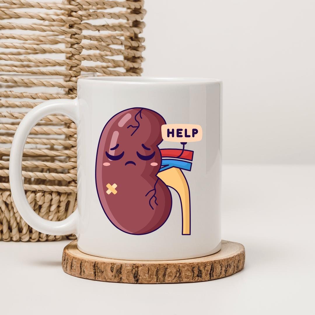 Kidney Svg Bundle, Kidney Silhouette, Kidney Vector, Kidney Clipart ...