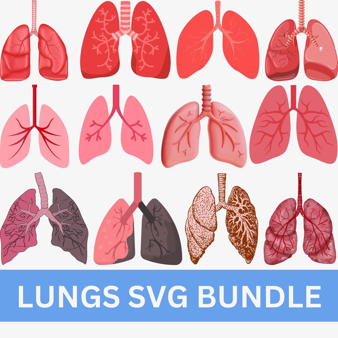 Human Lung Svg Bundle, Lungs Silhouette, Lung Vector, Human Lung Decal ...