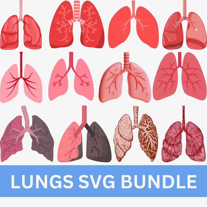 Human Lung Svg Bundle, Lungs Silhouette, Lung Vector, Human Lung Decal ...