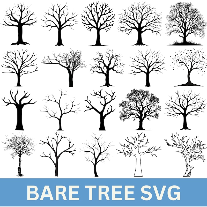 Bare Trees - Etsy