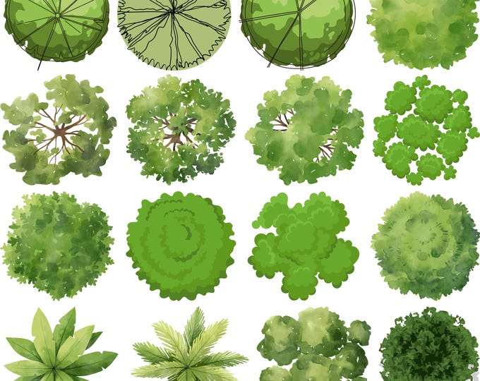 Tree Top View, 2D Landscape Clipart in PNG - Etsy Canada