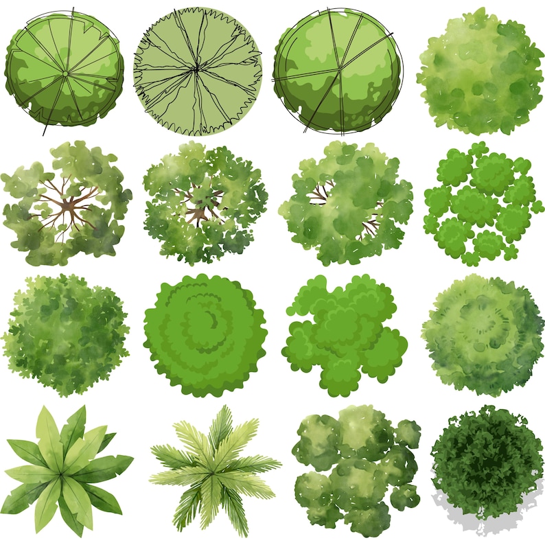 Tree Top View Svg, Landscape Tree Plan View, Tree Stamps, Flat Tree ...