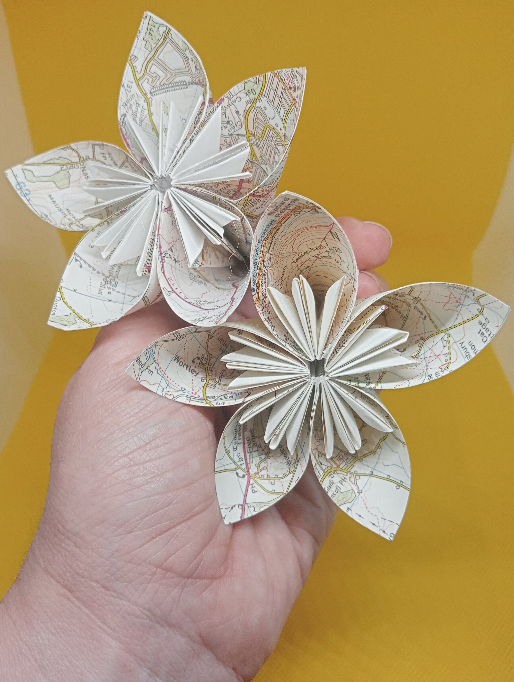 Where We Met Map PAPER FLOWERS, Maps Personalised With Your Special ...