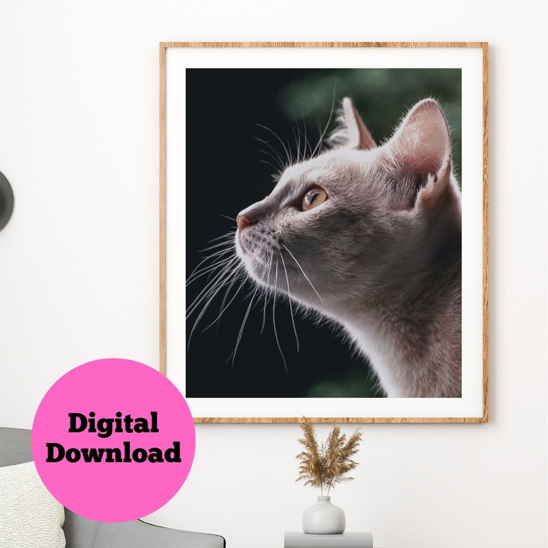 Purr-fect Portraits: Cat Face Printable Artwork / Digital Download Wall ...