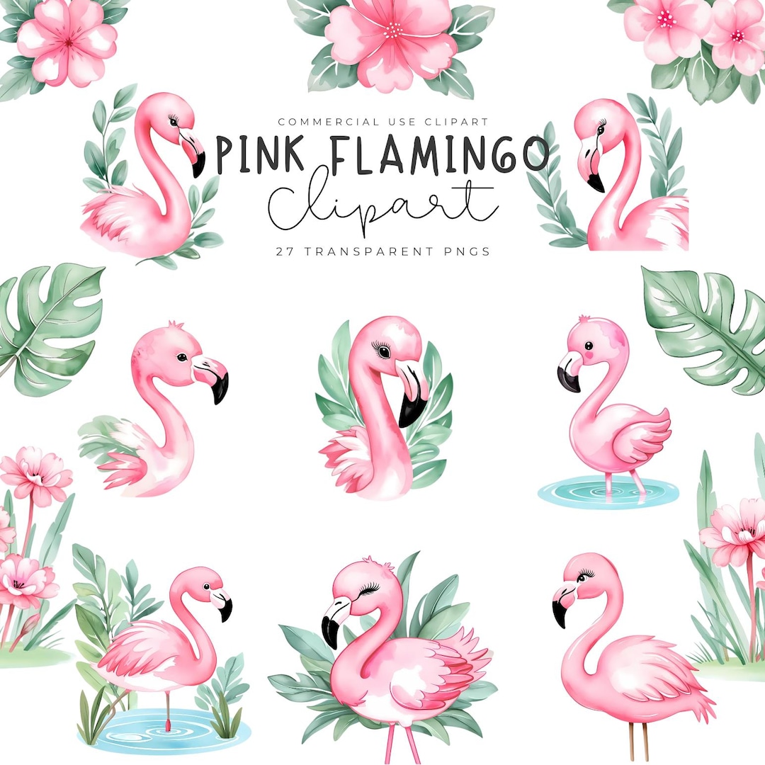 Watercolor Pink Flamingo Clipart: Tropical Animal PNG Bundle (digital ...