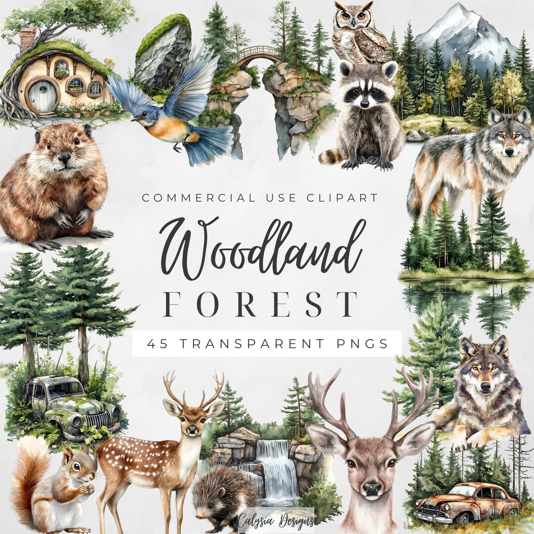 Woodland Animals Watercolor Clipart, Forest Theme Party, Woodland ...