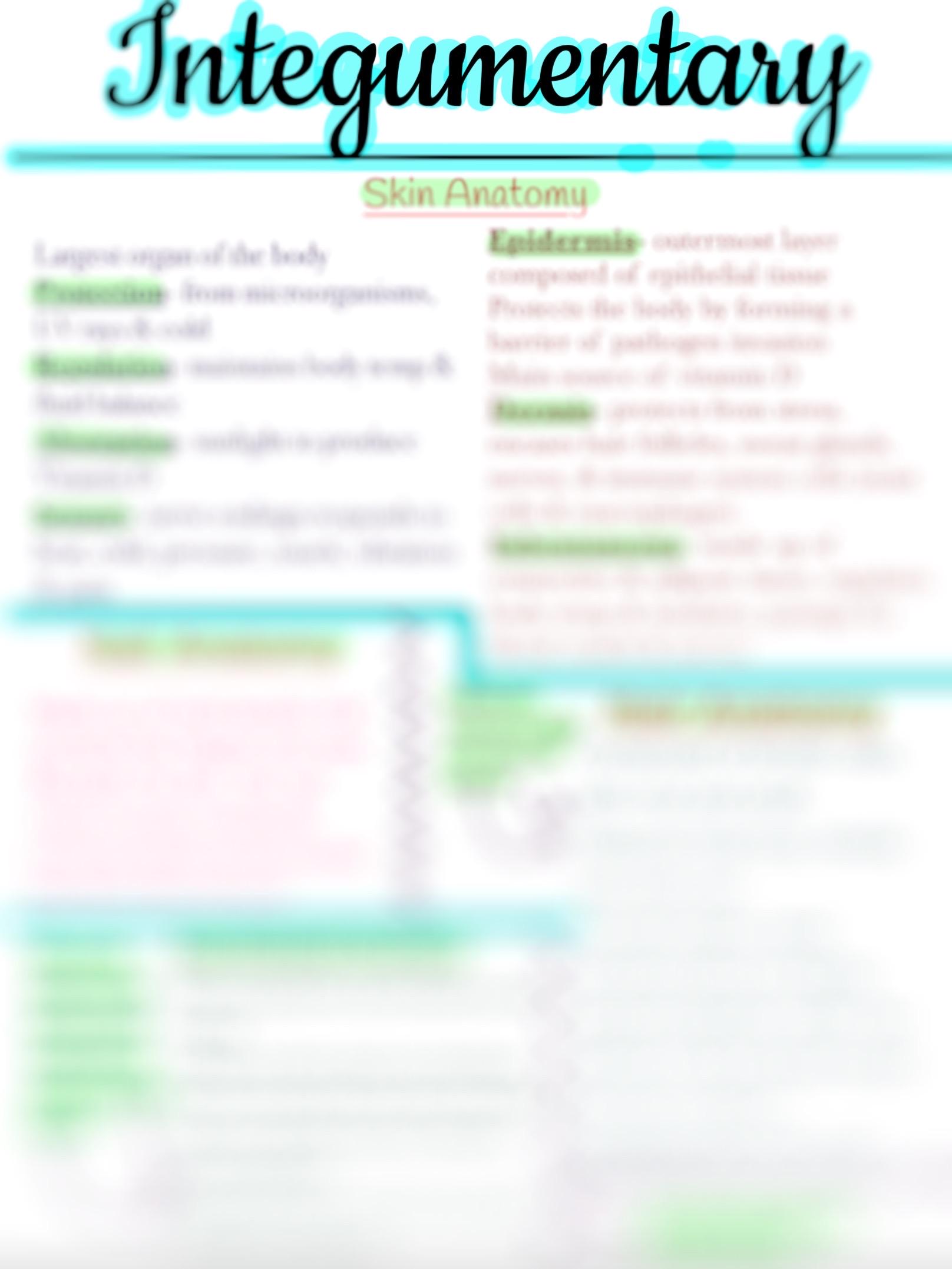 Med Surg Integumentary Study Guide - Etsy