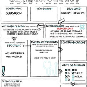 Pharmacology Study Guides: Body Systems (digital Download) - Etsy