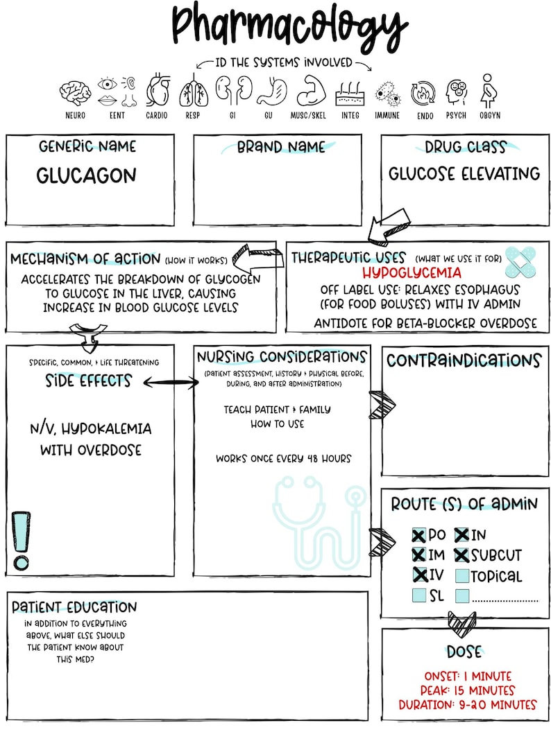 Pharmacology Study Guides: Body Systems (digital Download) - Etsy