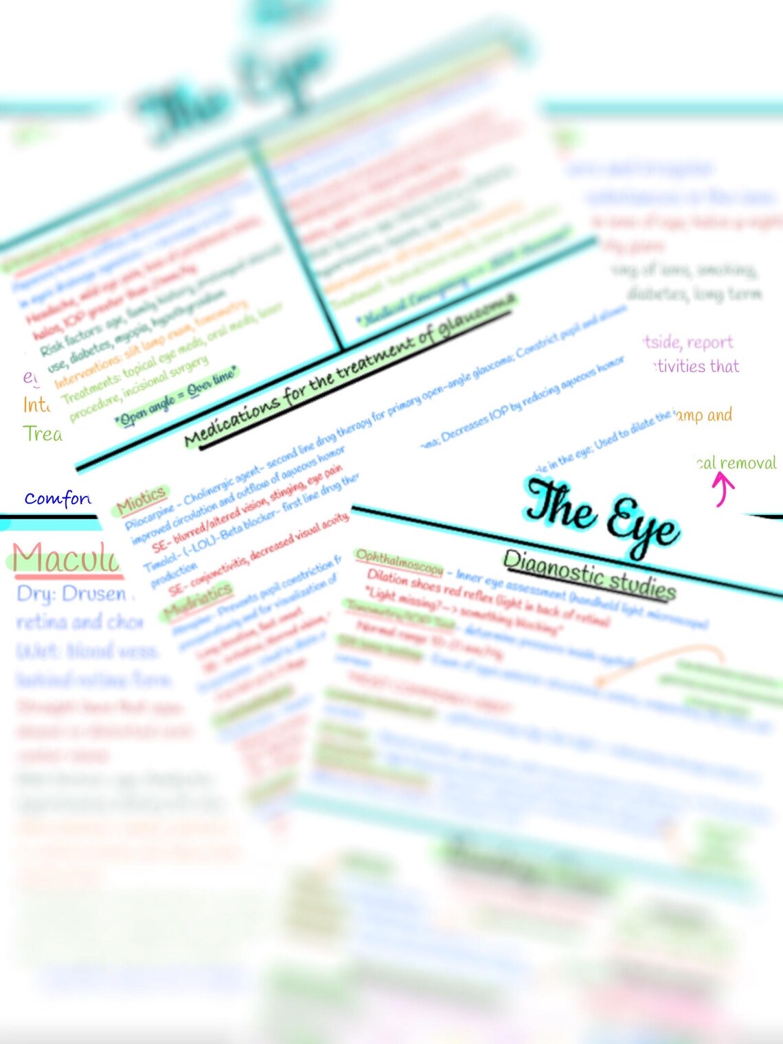 Med Surg Eye Study Guide - Etsy