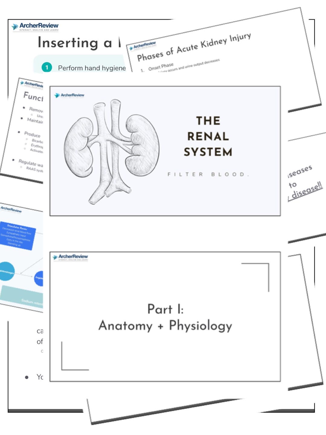 Archer Med Surg Renal Study Guide - Etsy