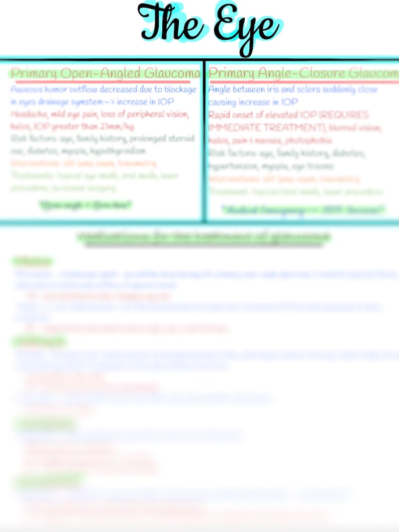 Med Surg Eye Study Guide - Etsy