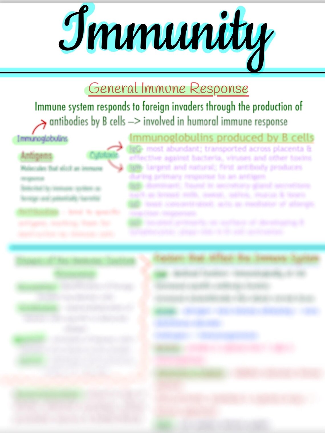 Med Surg Immune Study Guide - Etsy