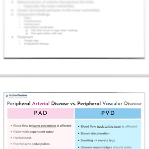 Archer Med Surg Cardiovascular Study Guide - Etsy
