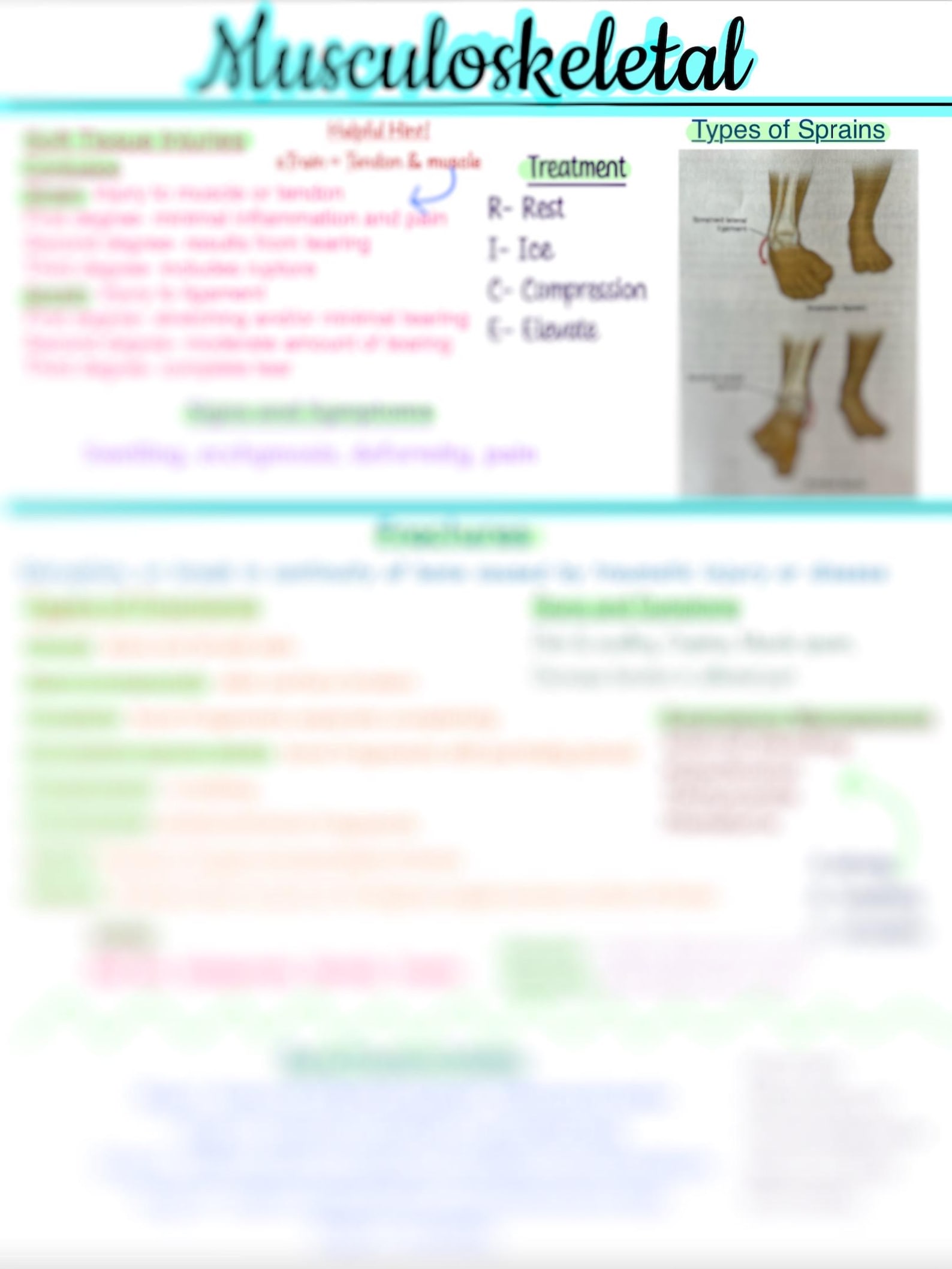 Med Surg Musculoskeletal Study Guide - Etsy