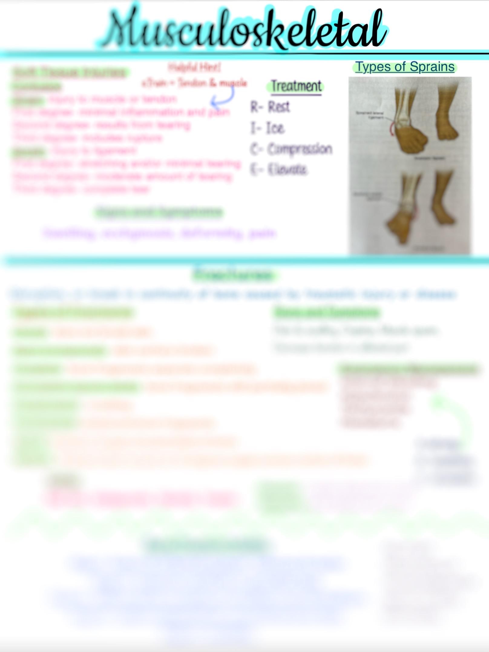 Med Surg Musculoskeletal Study Guide - Etsy