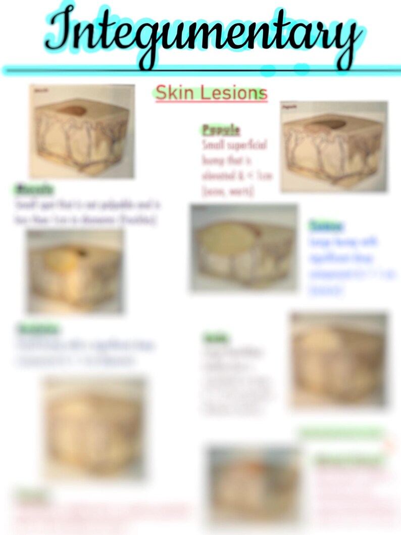Med Surg Integumentary Study Guide - Etsy