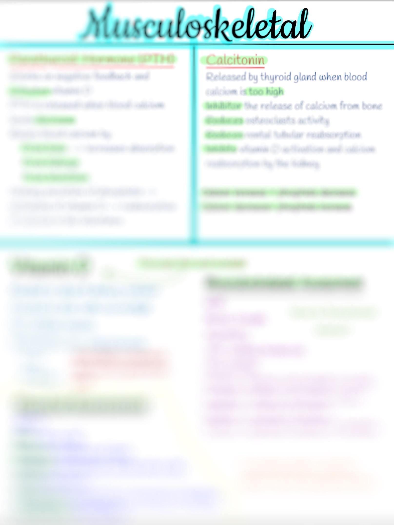 Med Surg Musculoskeletal Study Guide - Etsy