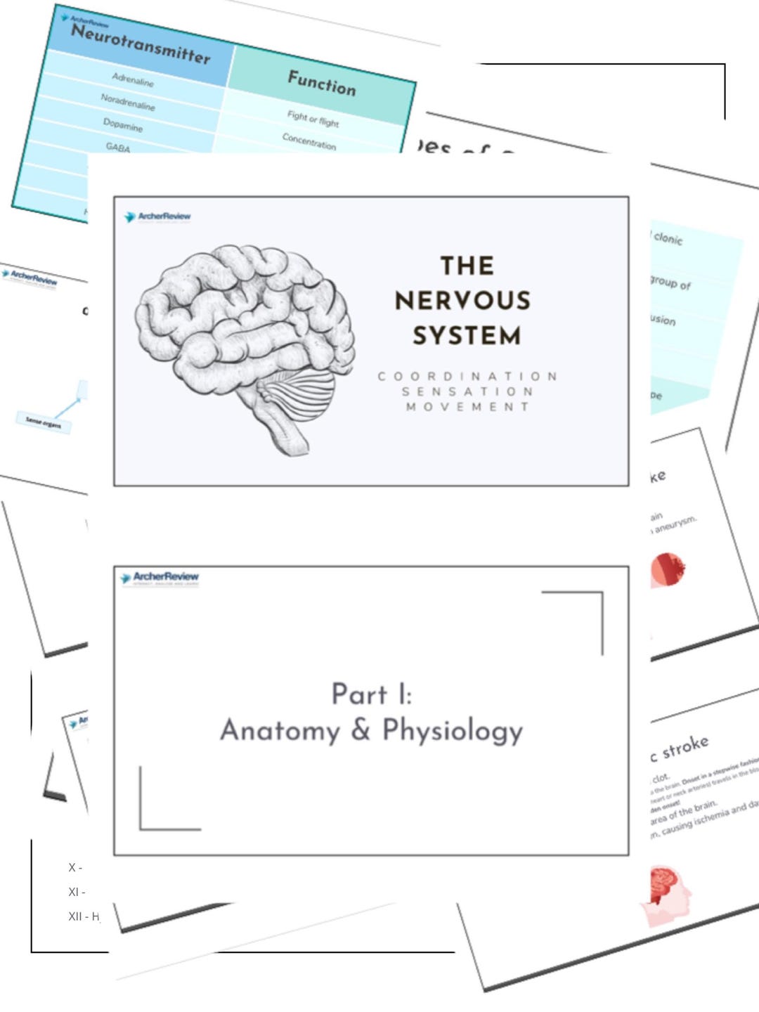 Archer Med Surg Nervous System Study Guide - Etsy