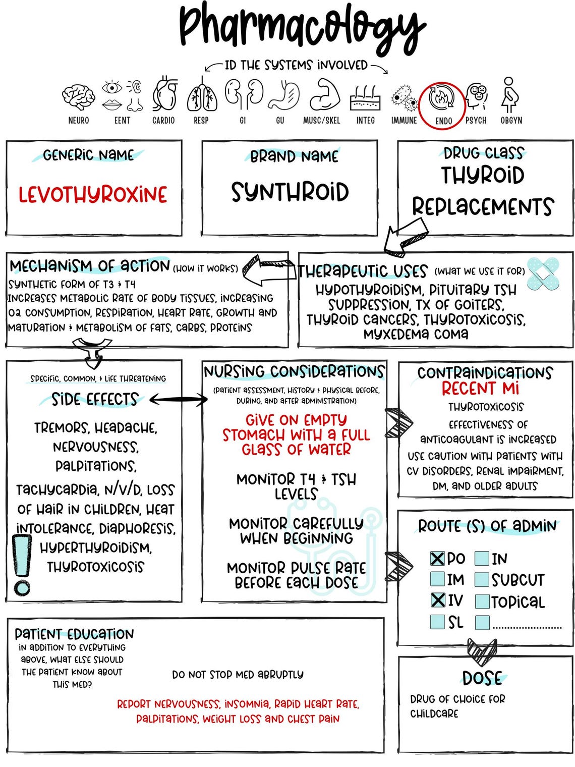 Pharmacology Study Guides: Body Systems (digital Download) - Etsy