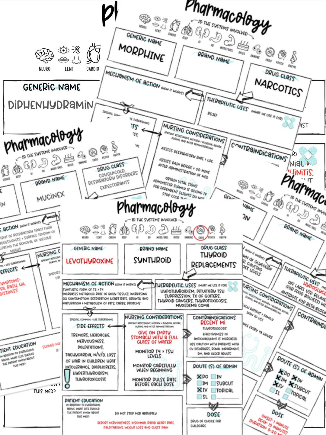 Pharmacology Study Guides: Body Systems (digital Download) - Etsy