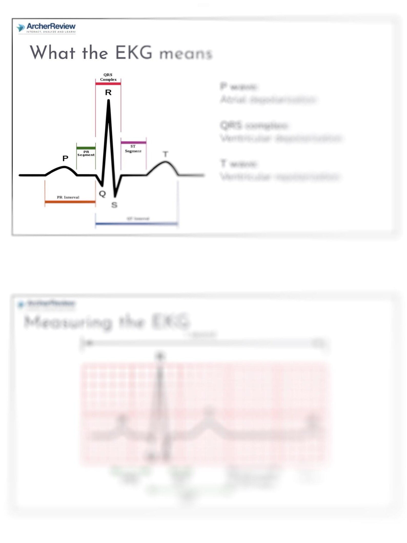 Archer Med Surg Cardiovascular Study Guide - Etsy