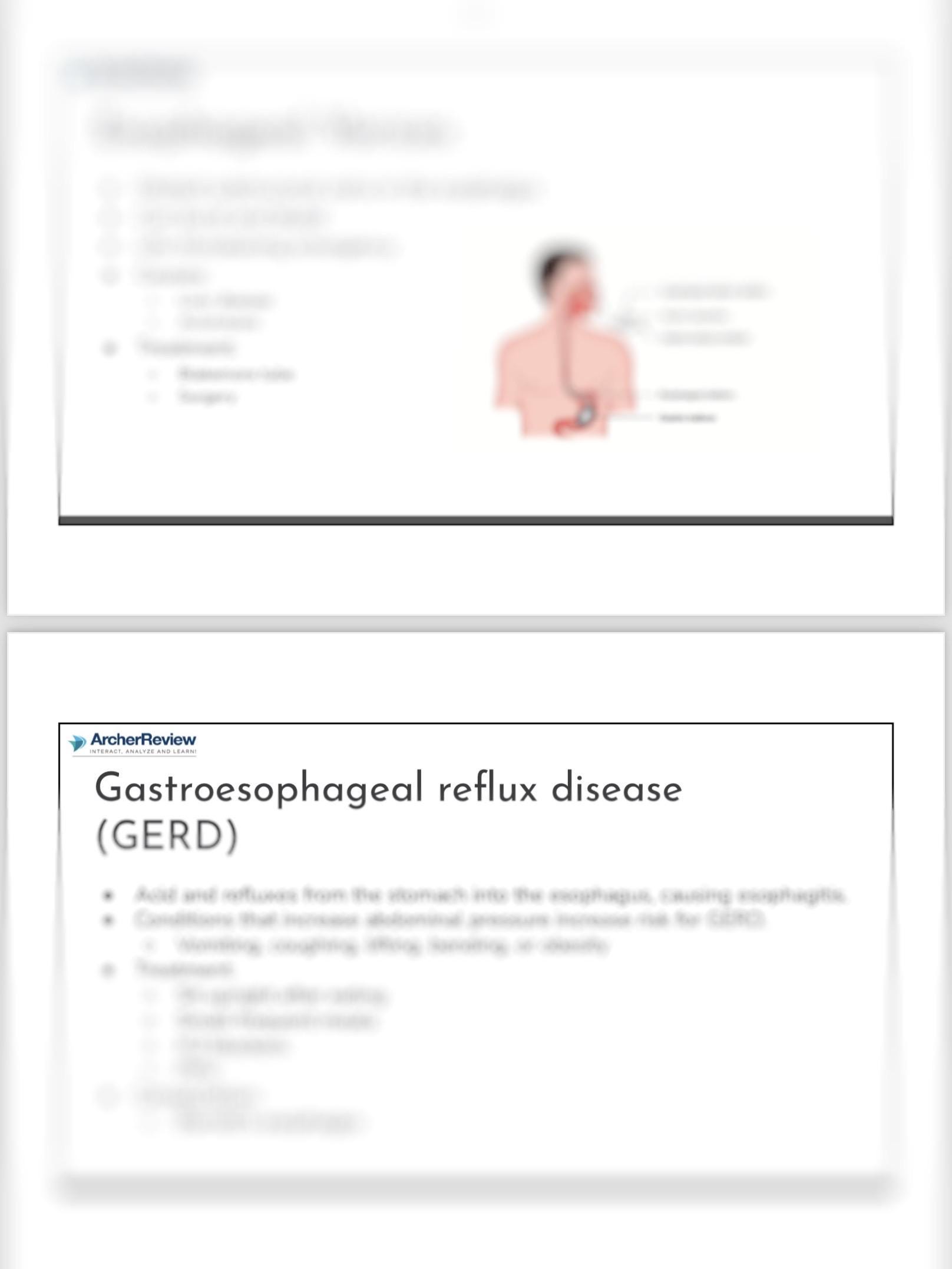Archer Med Surg Gastrointestinal Study Guide - Etsy