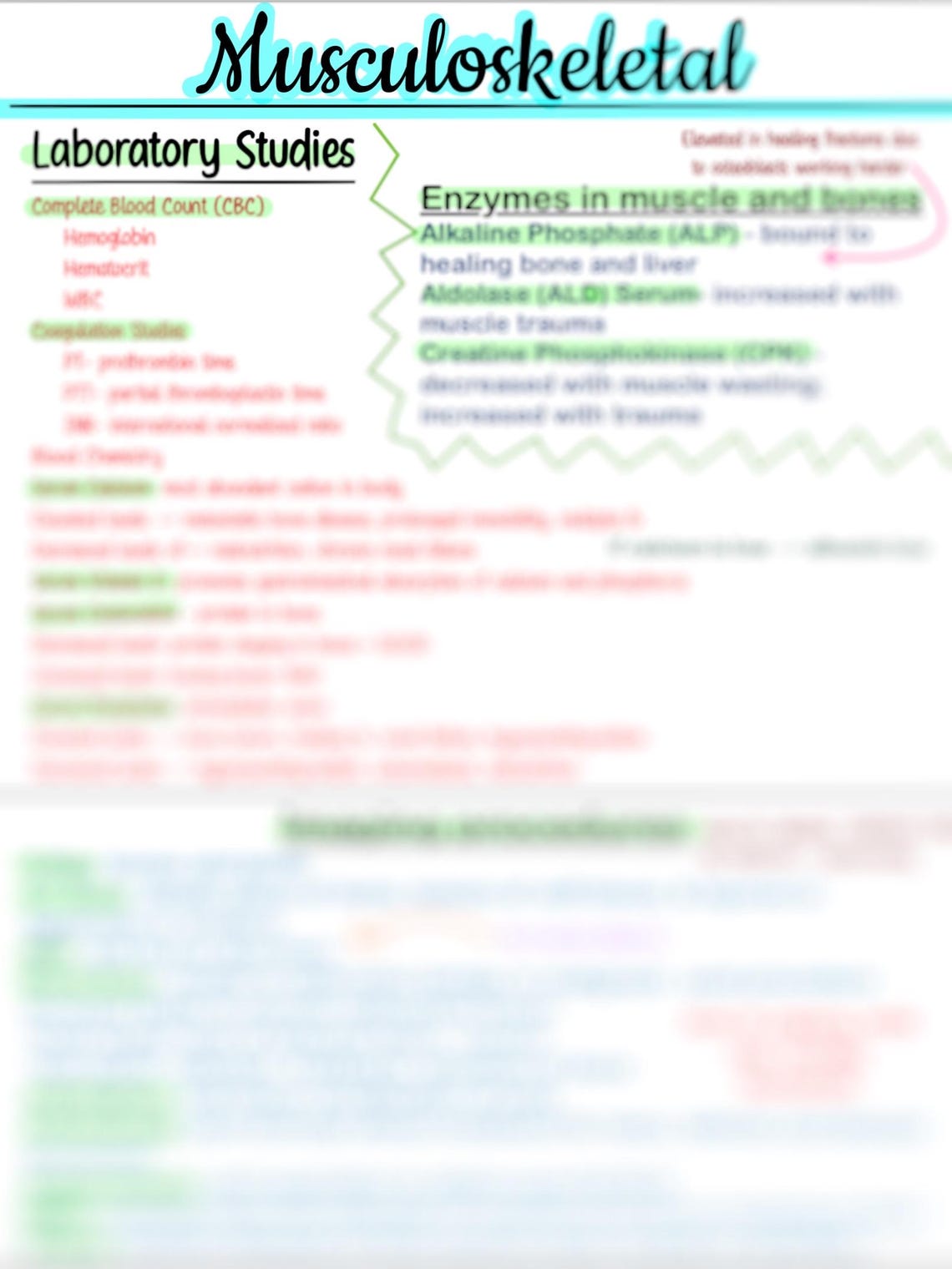 Med Surg Musculoskeletal Study Guide - Etsy