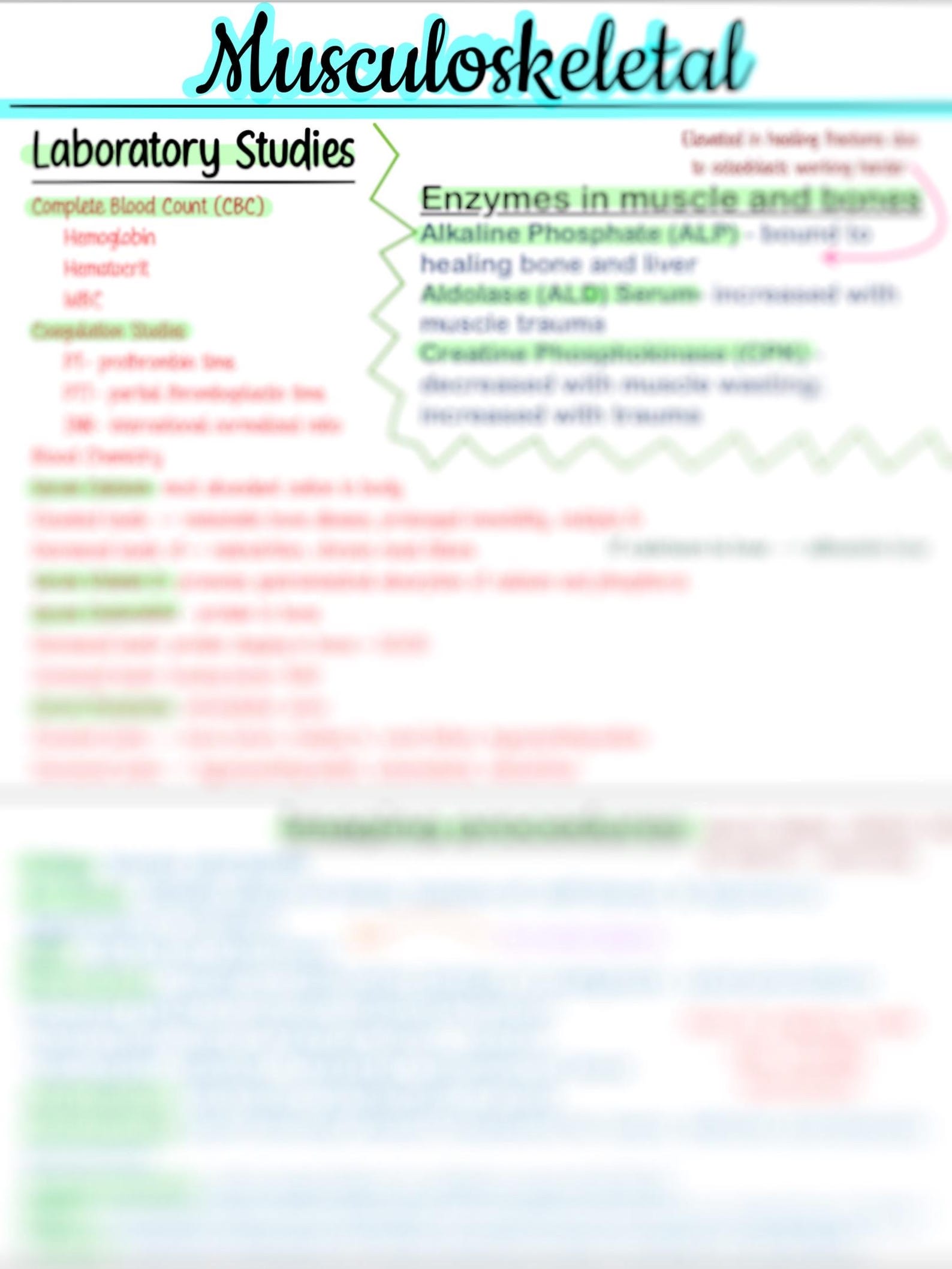 Med Surg Musculoskeletal Study Guide - Etsy