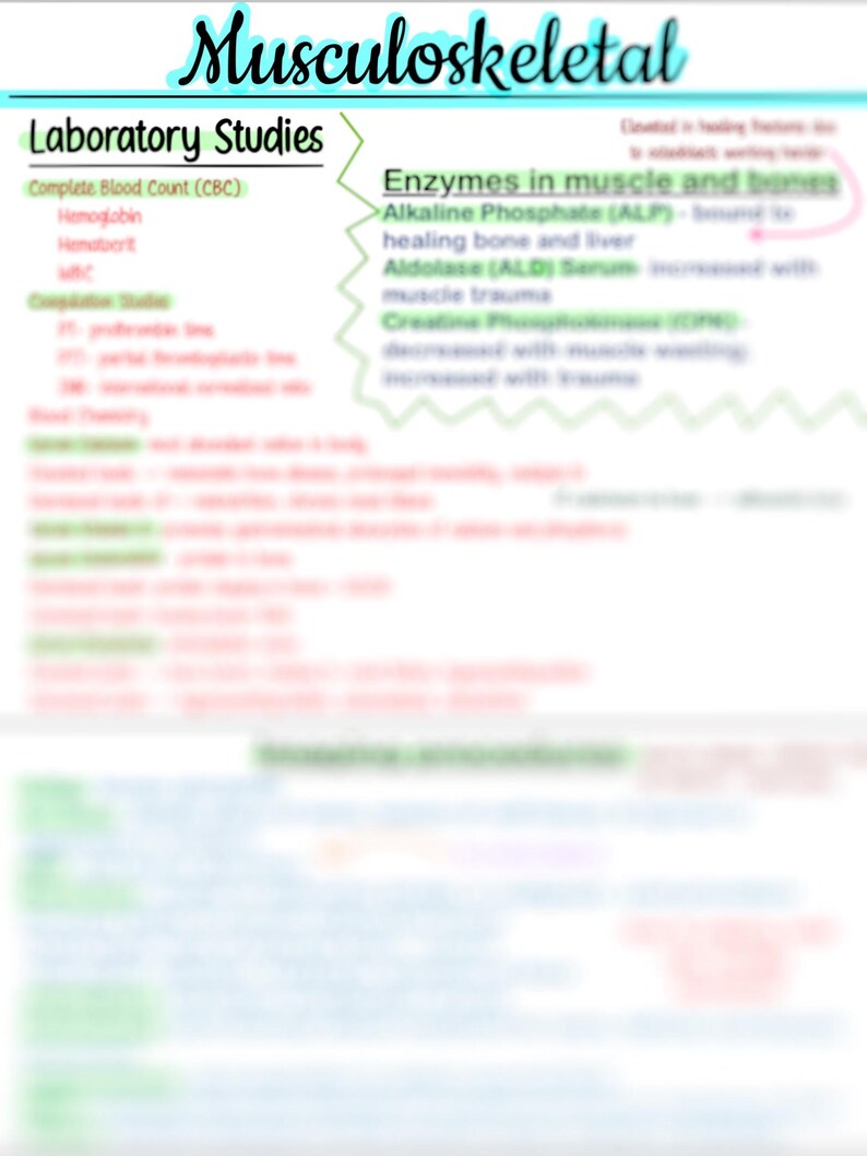 Med Surg Musculoskeletal Study Guide - Etsy