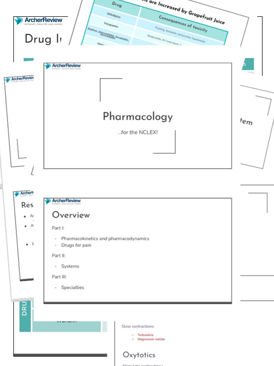 Archer Pharmacology Study Guide - Etsy