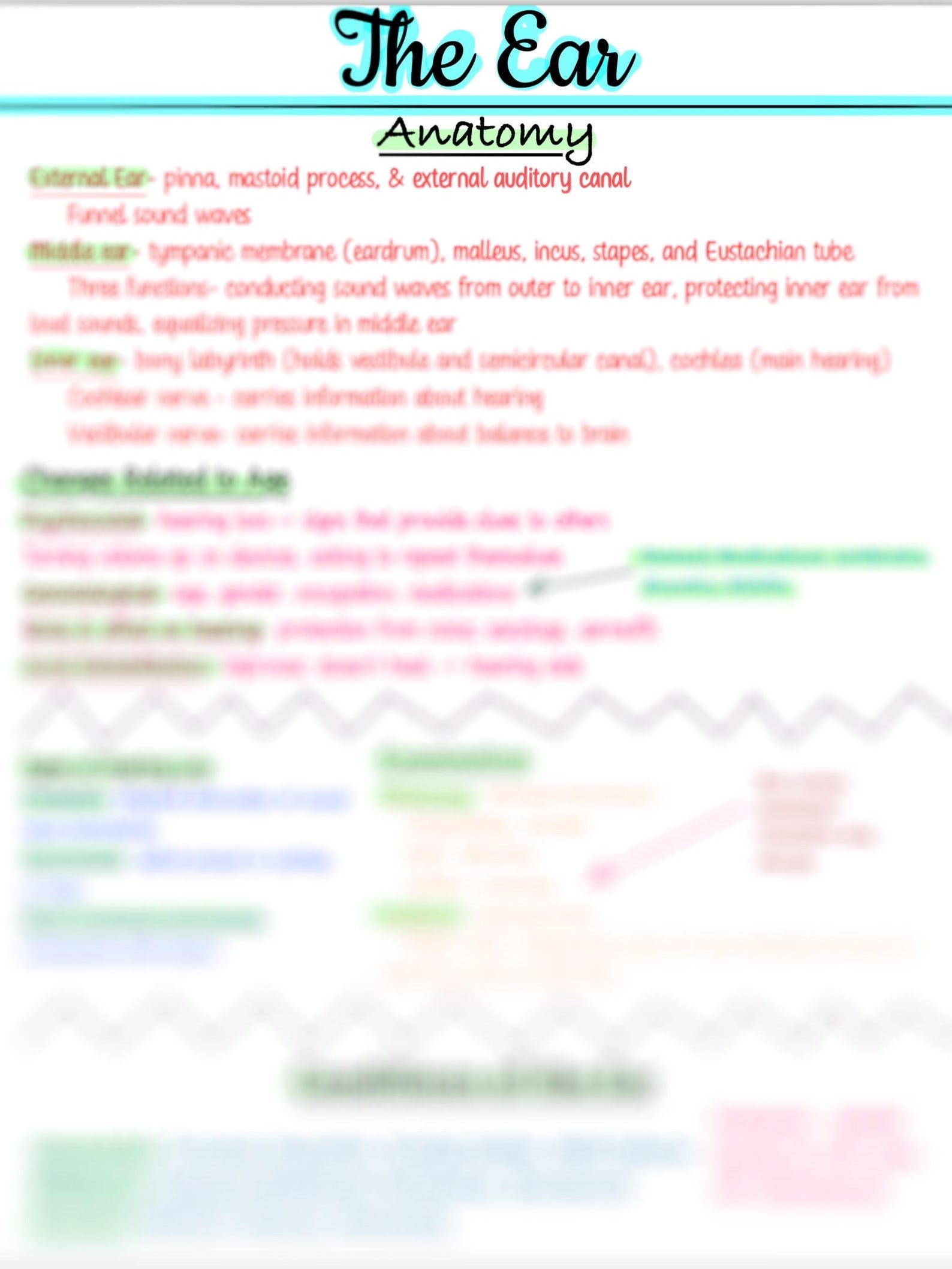 Med Surg Ear Study Guide - Etsy