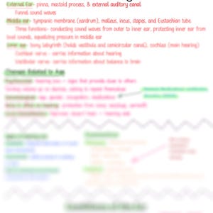 Med Surg Ear Study Guide - Etsy