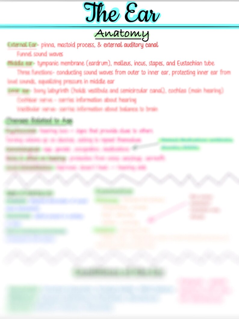 Med Surg Ear Study Guide - Etsy