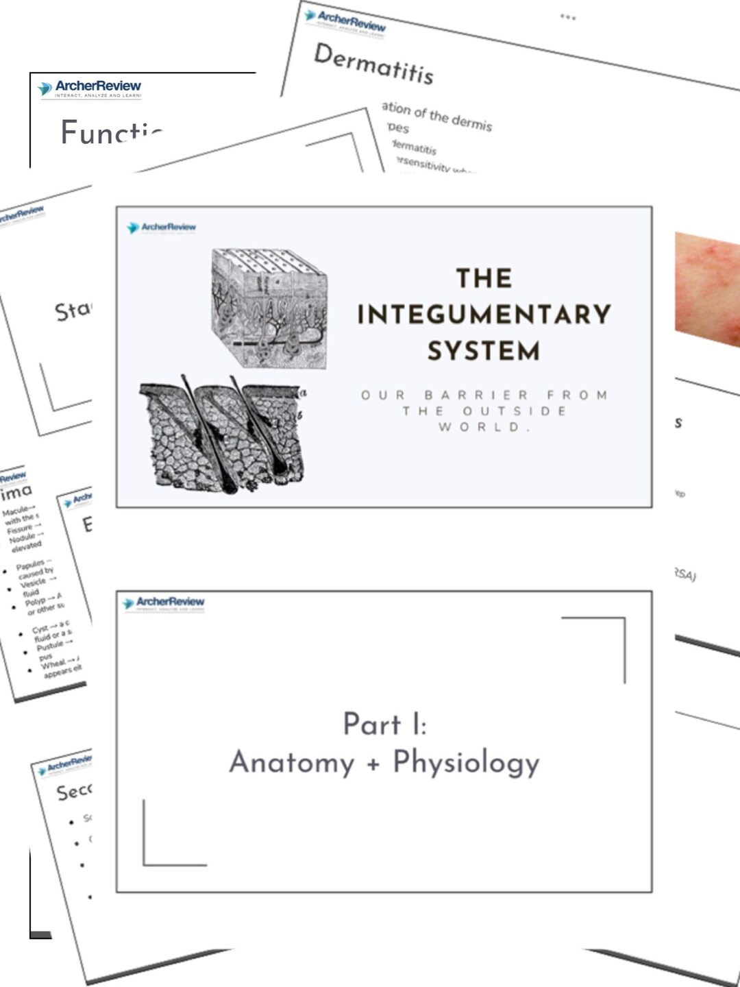 Archer Med Surg Integumentary Study Guide - Etsy