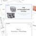Archer Med Surg Integumentary Study Guide - Etsy