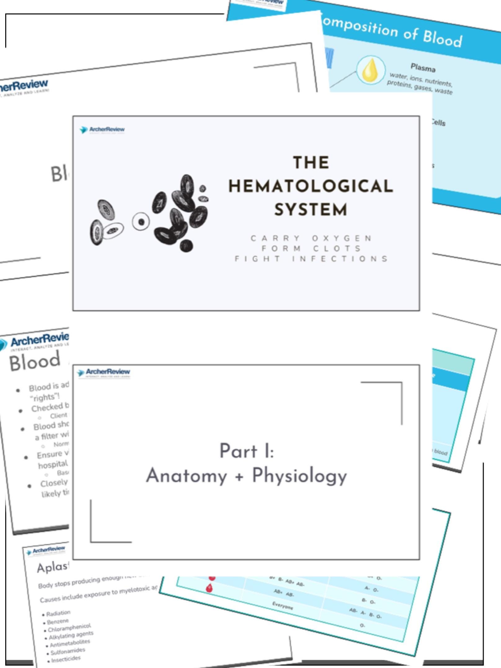 Archer Med Surg Hematological Study Guide - Etsy