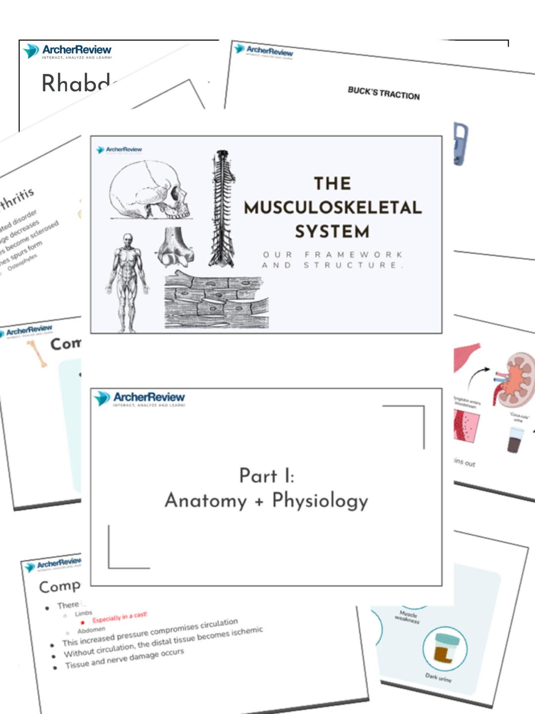 Archer Med Surg Musculoskeletal Study Guide - Etsy