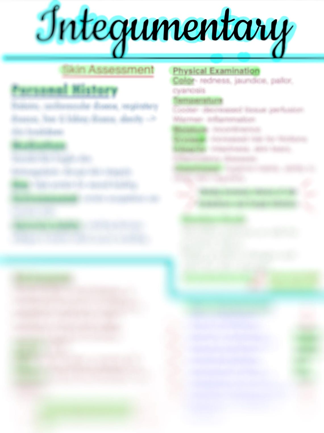 Med Surg Integumentary Study Guide - Etsy