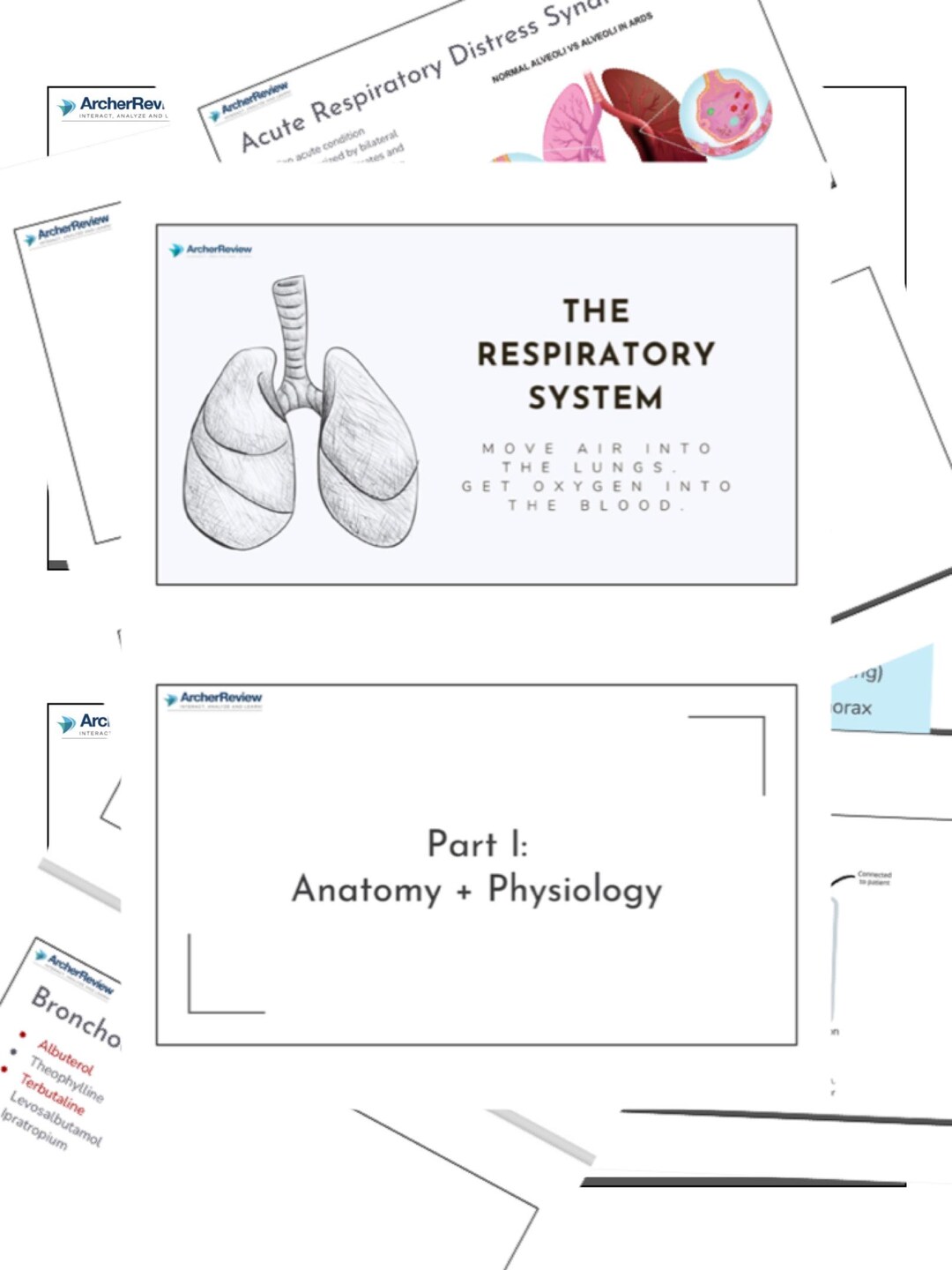 Archer Med Surg Respiratory Study Guide - Etsy