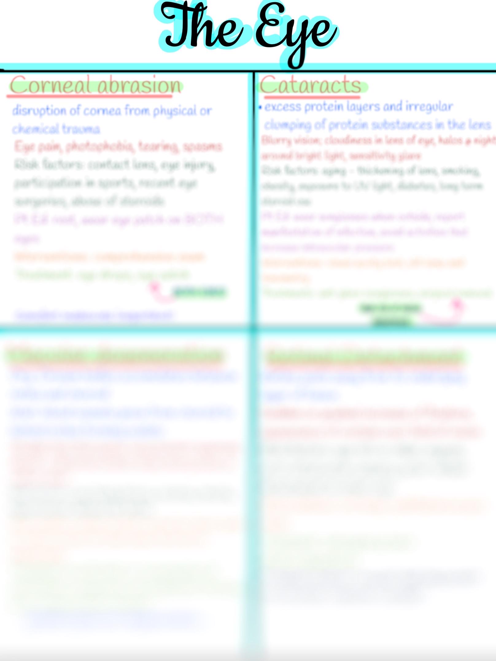 Med Surg Eye Study Guide - Etsy