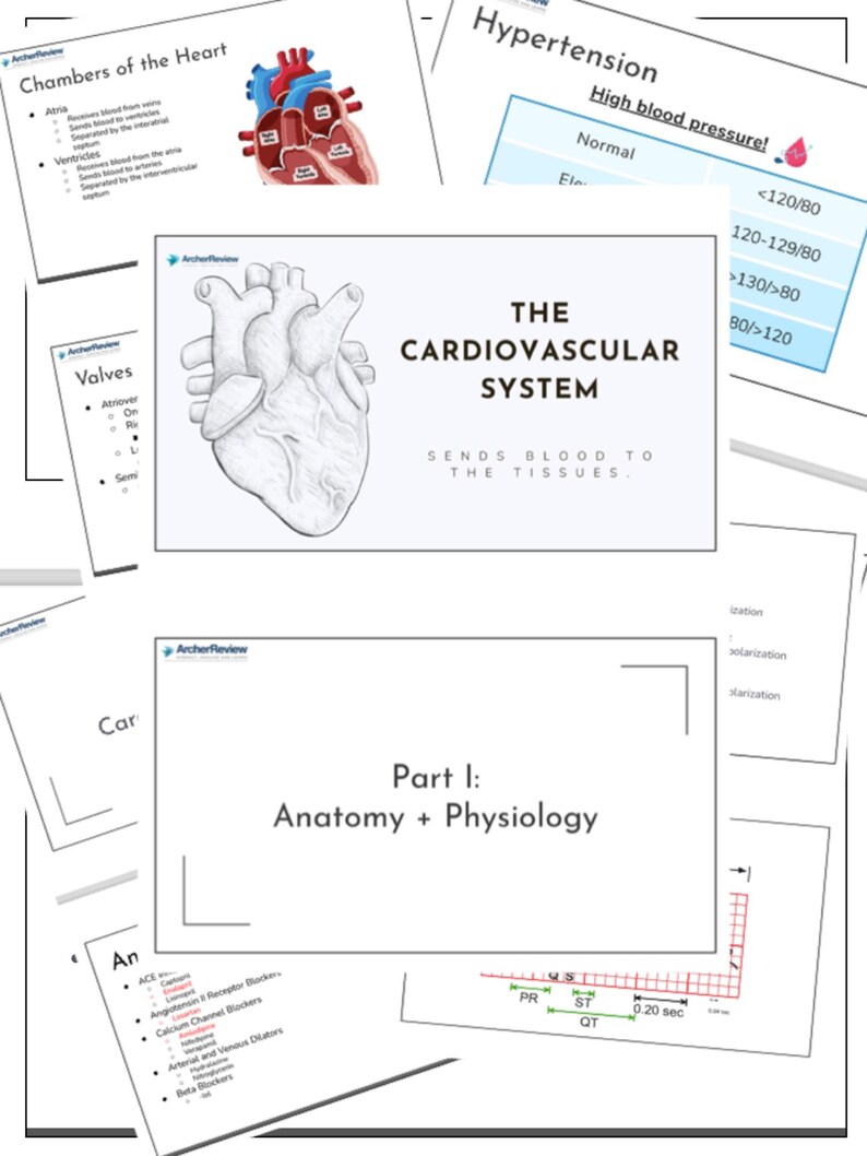 Archer Med Surg Cardiovascular Study Guide - Etsy