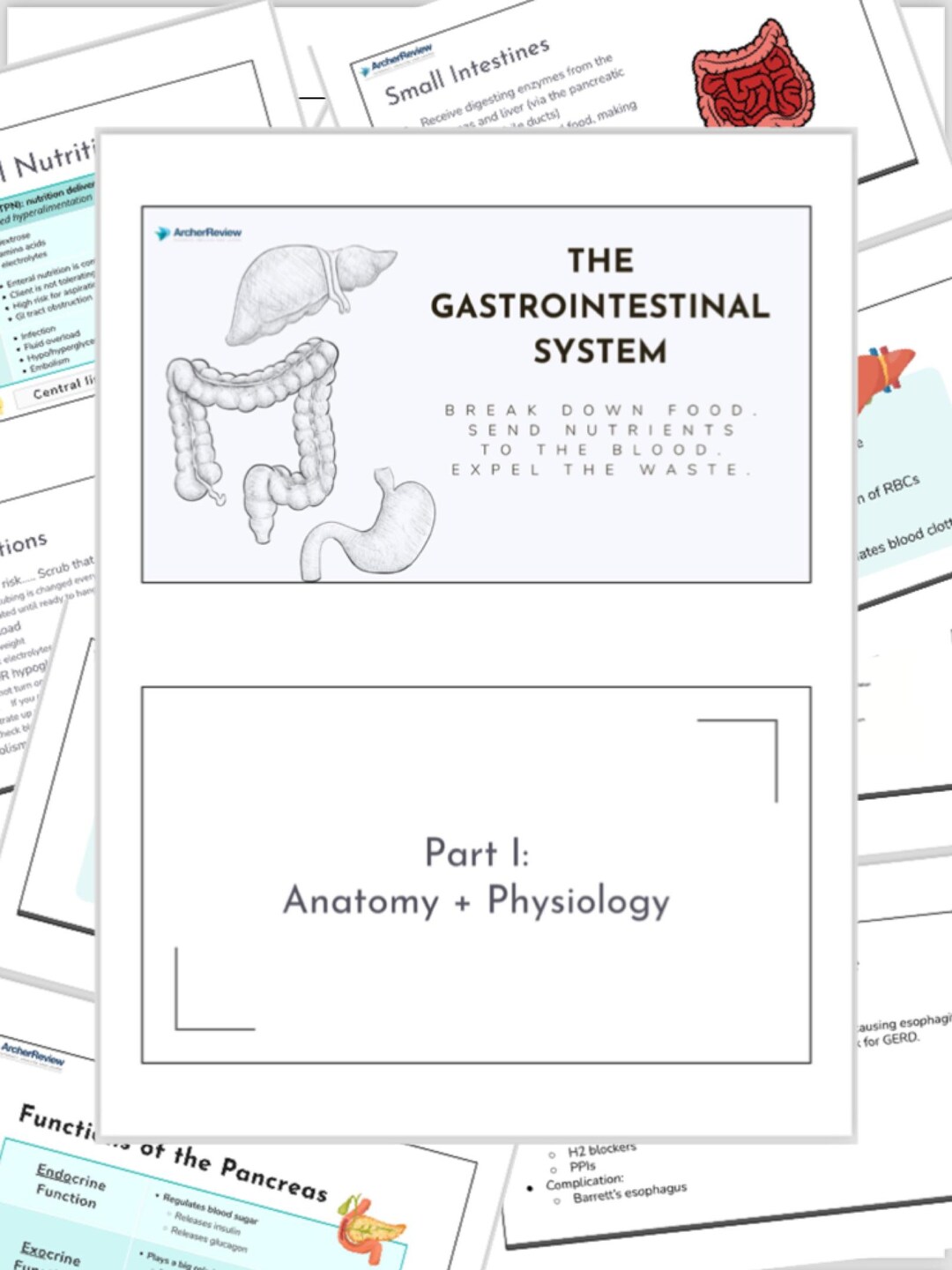 Archer Med Surg Gastrointestinal Study Guide - Etsy
