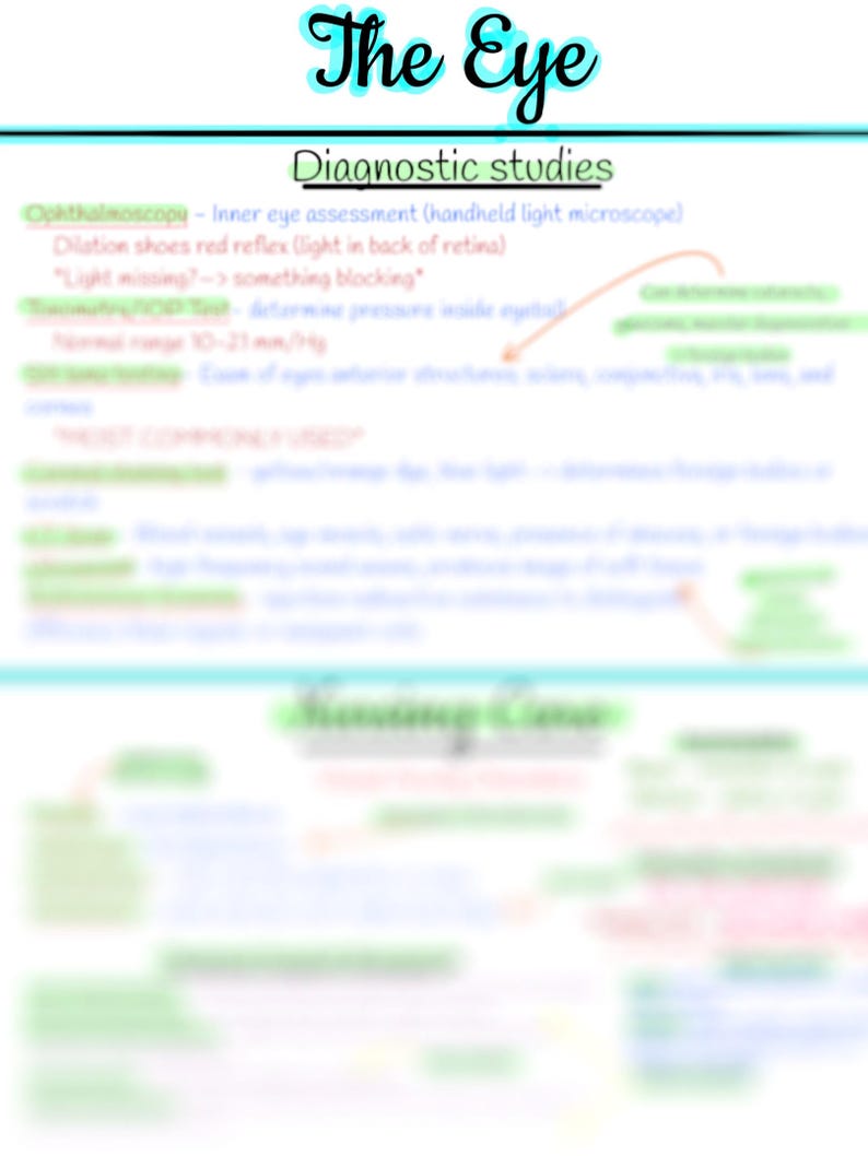 Med Surg Eye Study Guide - Etsy