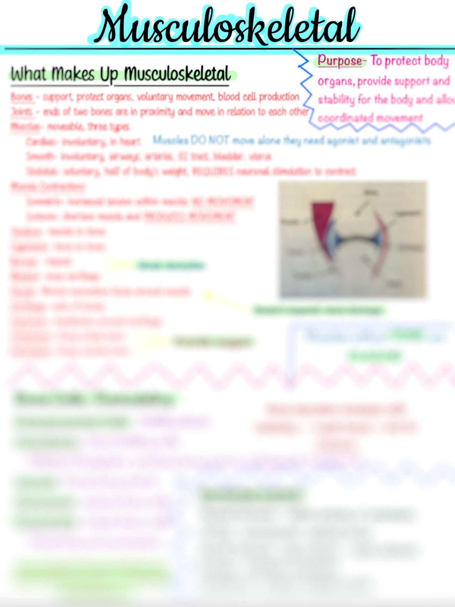 Med Surg Musculoskeletal Study Guide - Etsy