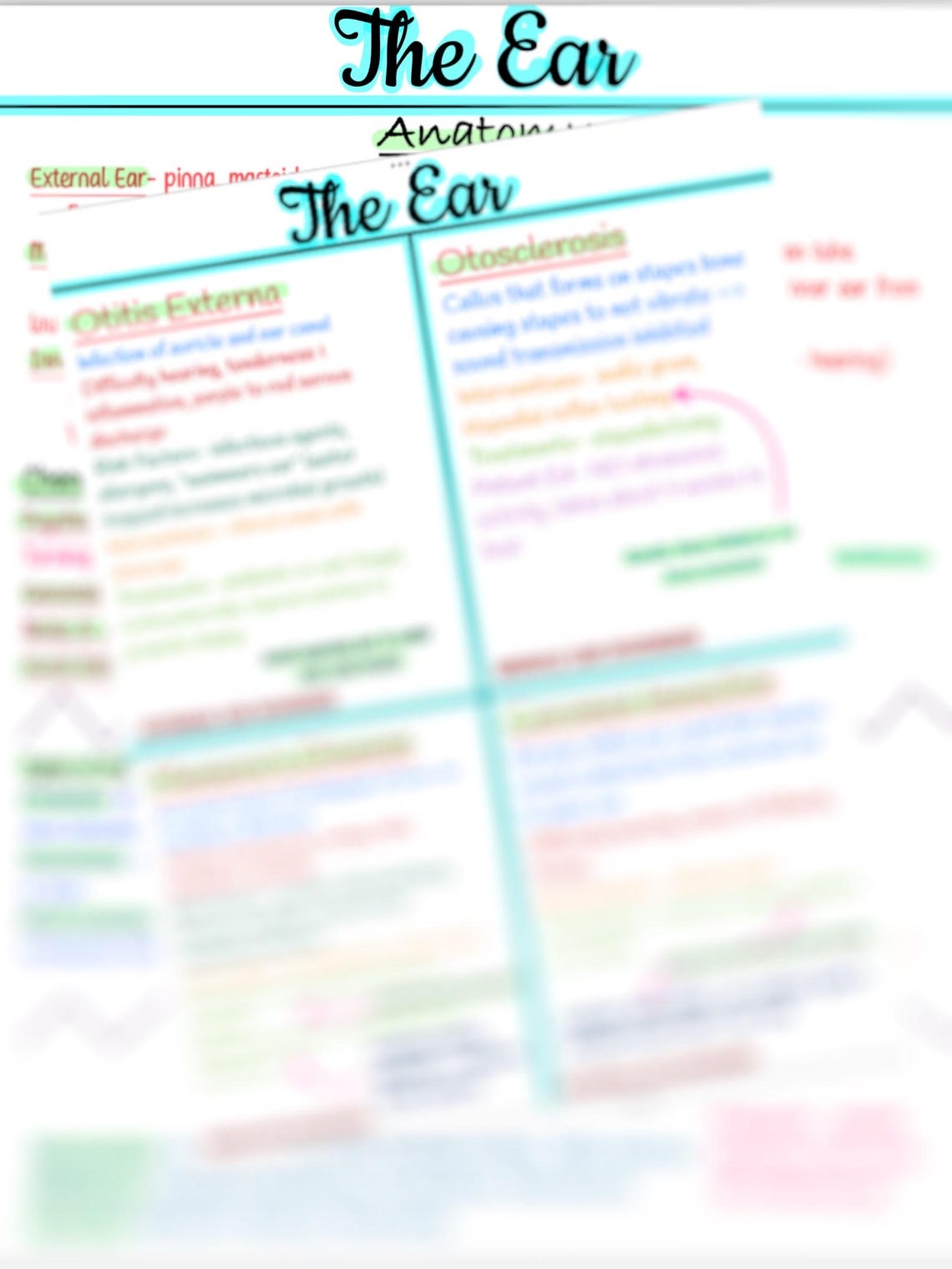 Med Surg Ear Study Guide - Etsy