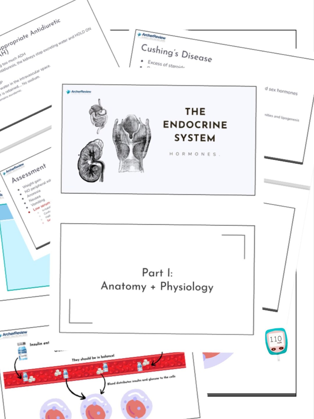 Archer Med Surg Endocrine Study Guide - Etsy