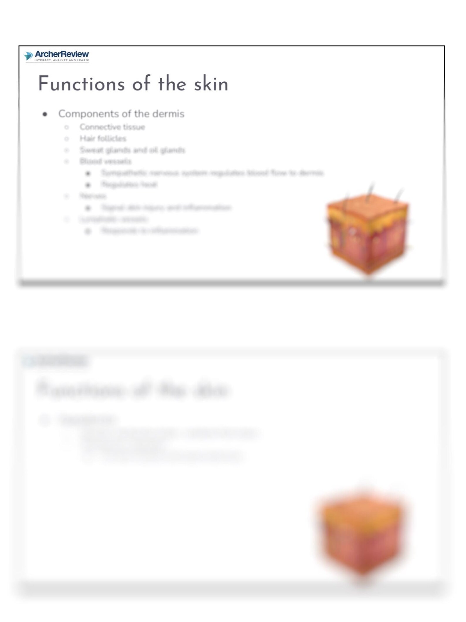 Archer Med Surg Integumentary Study Guide - Etsy